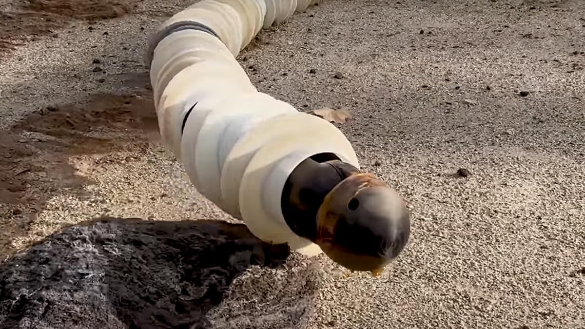 NASA's snake robot is made to search life on the Saturn moon